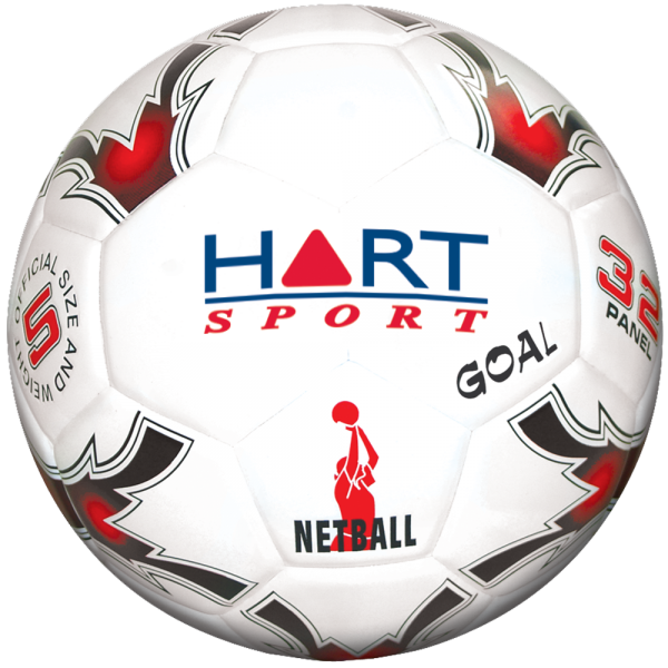 100% Netball - Netballs